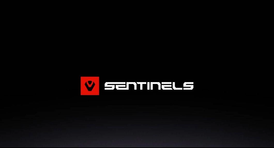 Sentinels Hire David McGowan as its New Performance Coach - TEA